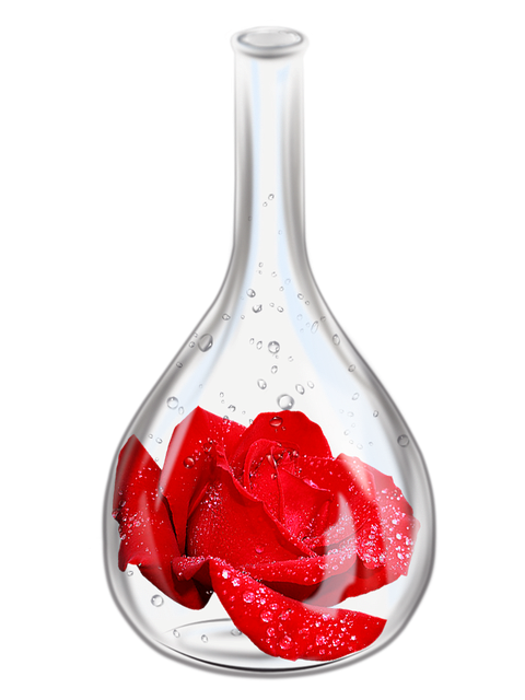 Botellon Vidro Transparente - Imagen gratis en Pixabay - Pixabay