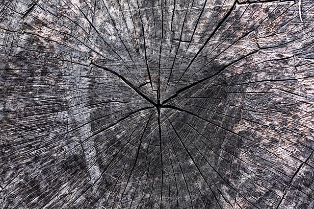Holz Natur Texturen - Kostenloses Foto auf Pixabay - Pixabay