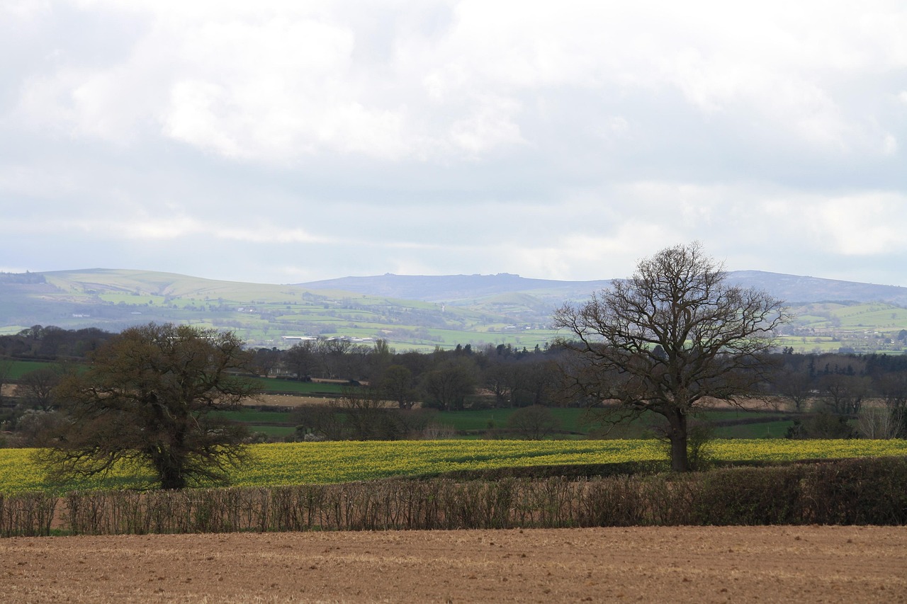 De Campagne Paysage Collines Des - Photo gratuite sur Pixabay - Pixabay