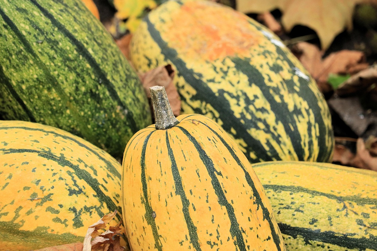 Citrouille Des Légumes Automne - Photo gratuite sur Pixabay - Pixabay