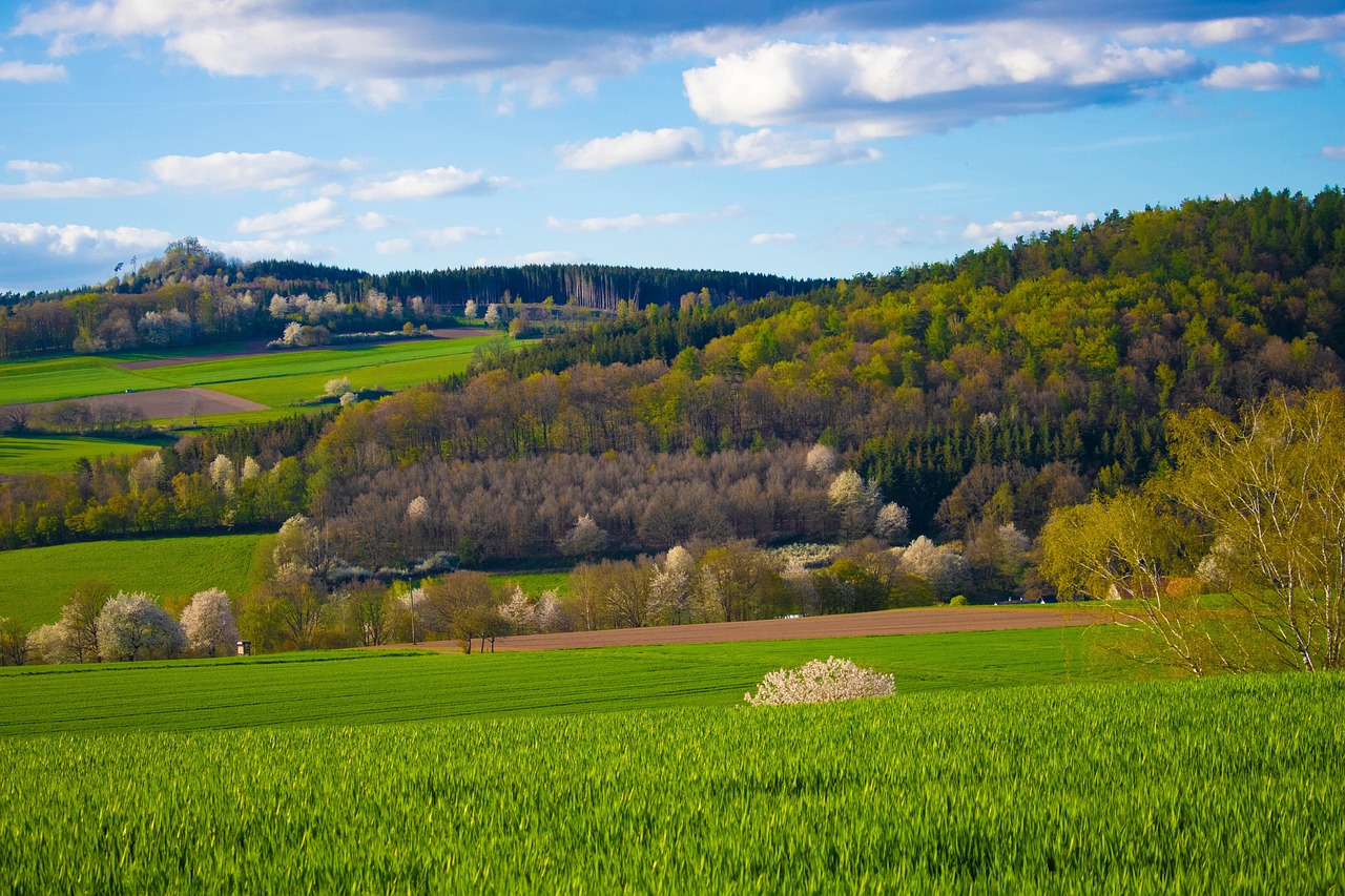 Landscape Nature Outdoors - Free photo on Pixabay - Pixabay