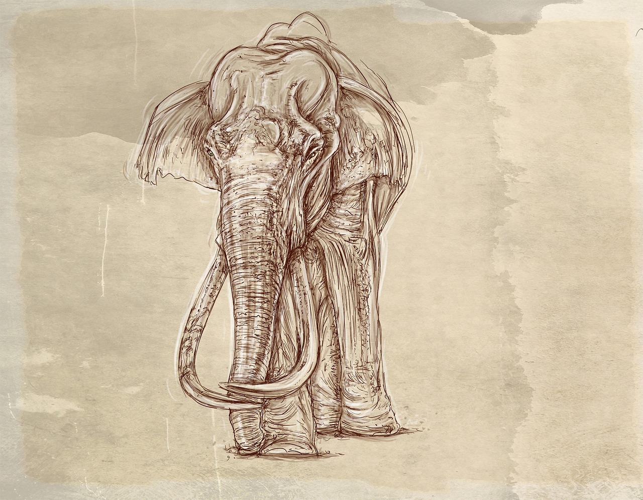 Download Animal, Elephant, Walk. Royalty-Free Stock Illustration Image ...