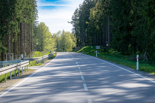 Country Road Forest - Free photo on Pixabay - Pixabay