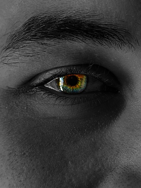 Eye Eyebrow Portrait - Free photo on Pixabay - Pixabay