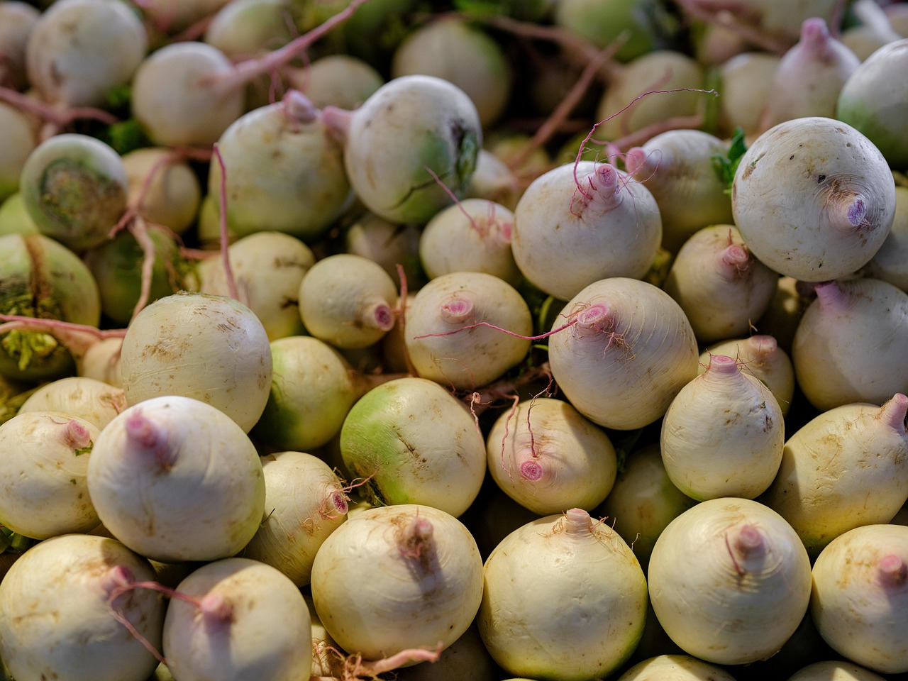 Radish Vegetables Market - Free photo on Pixabay - Pixabay