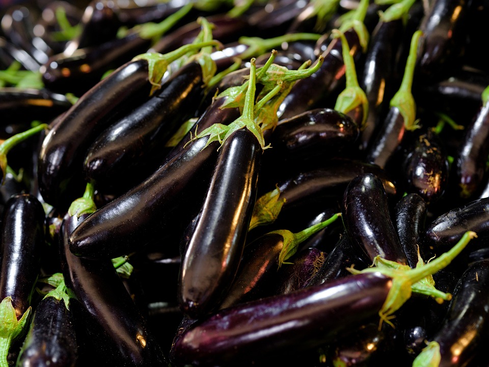 Aubergines Vegetables Eggplants - Free photo on Pixabay