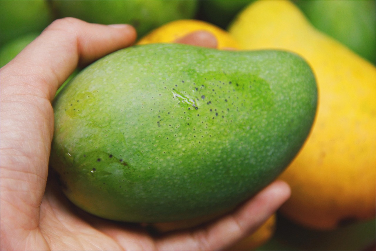 Des Fruits Mangue Fermer - Photo gratuite sur Pixabay - Pixabay