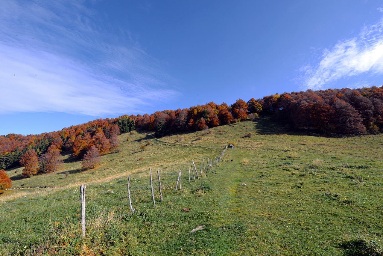 Automne Nature Forêt - Photo gratuite sur Pixabay - Pixabay