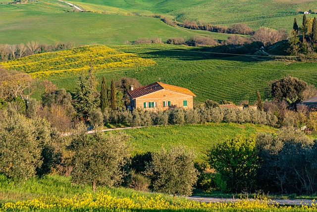 Countryside Barley Hill Spring - Free photo on Pixabay - Pixabay