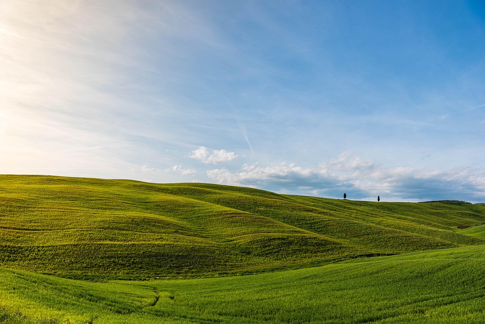 Countryside Barley Hill Spring - Free photo on Pixabay - Pixabay