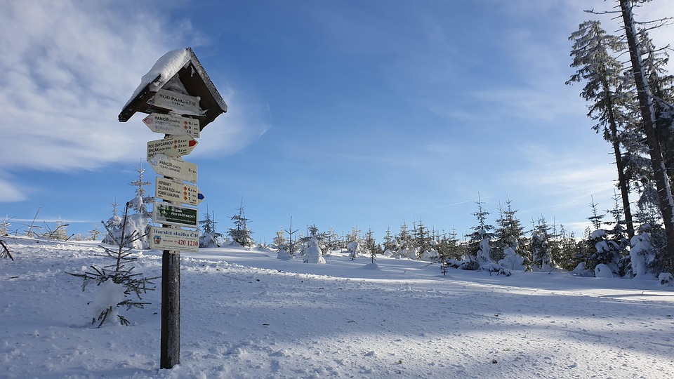 Winter Schnee - Kostenloses Foto auf Pixabay - Pixabay