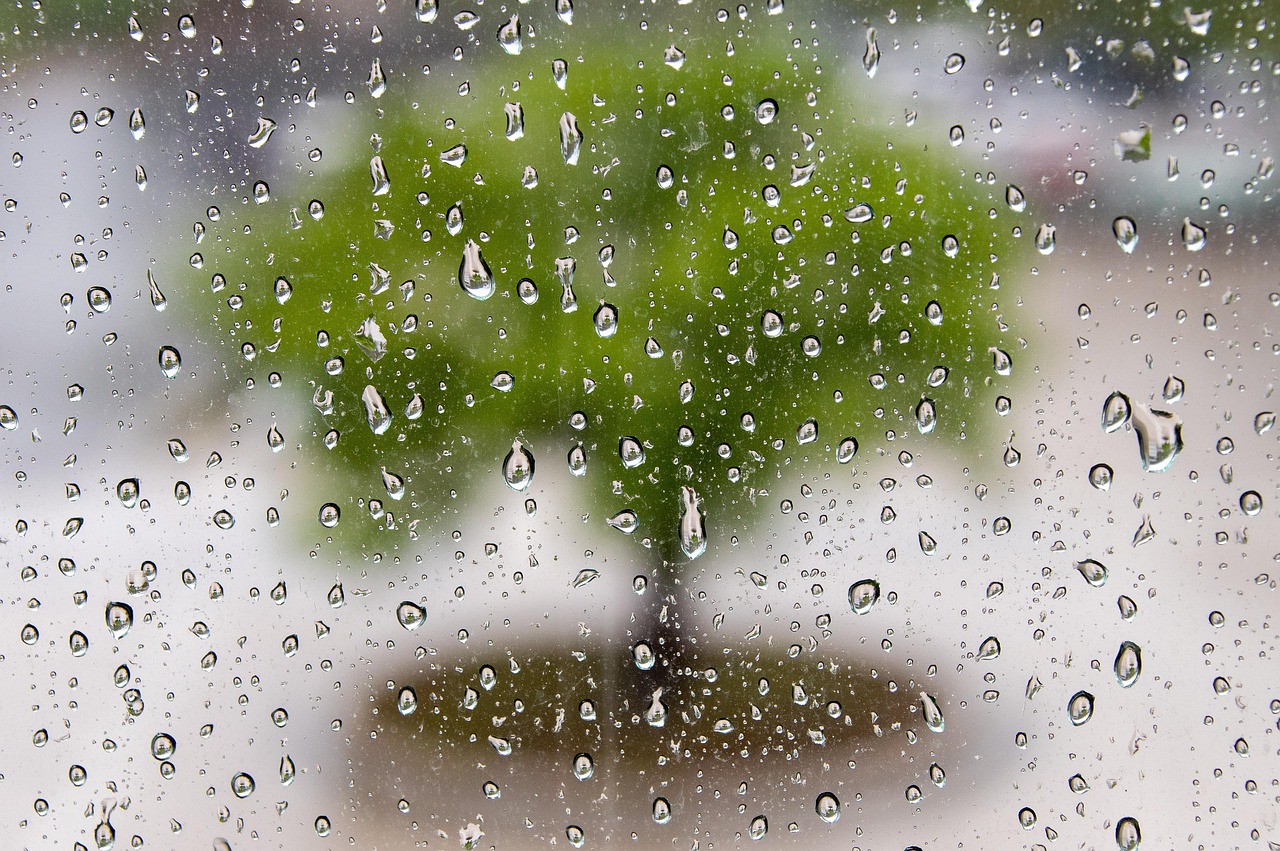 70,000+ Free Raindrops On Glass & Nature Images - Pixabay