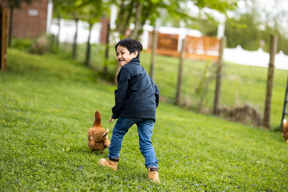 Kids Boy Chasing - Free photo on Pixabay