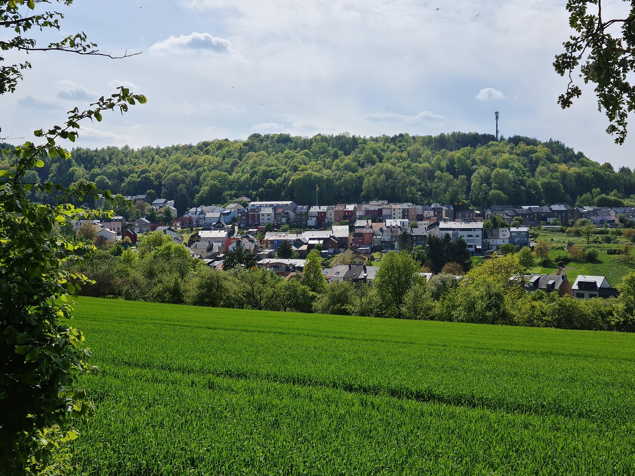 Lucembursko Příroda Les - Fotografie zdarma na Pixabay