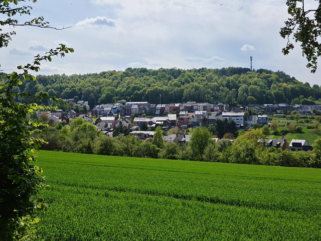 Lucembursko Příroda Les - Fotografie zdarma na Pixabay