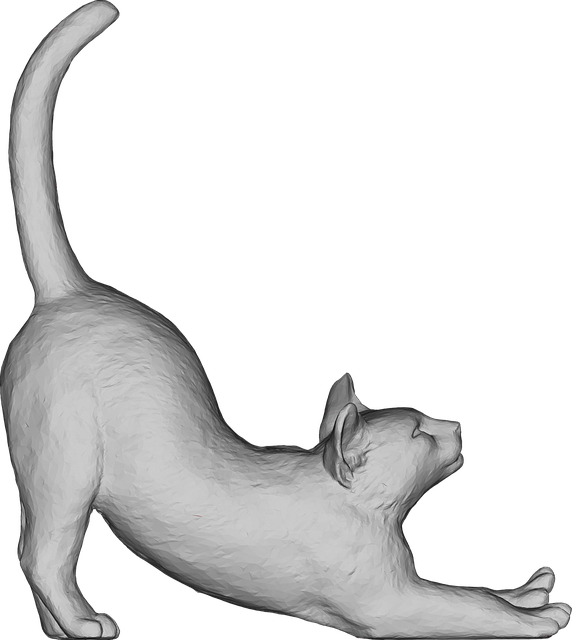 Download Cat, Animal, Stretching. Royalty-Free Vector Graphic - Pixabay