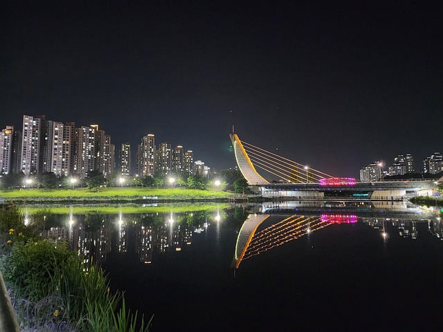 Vue De Nuit Parc Du Lac - Photo gratuite sur Pixabay - Pixabay