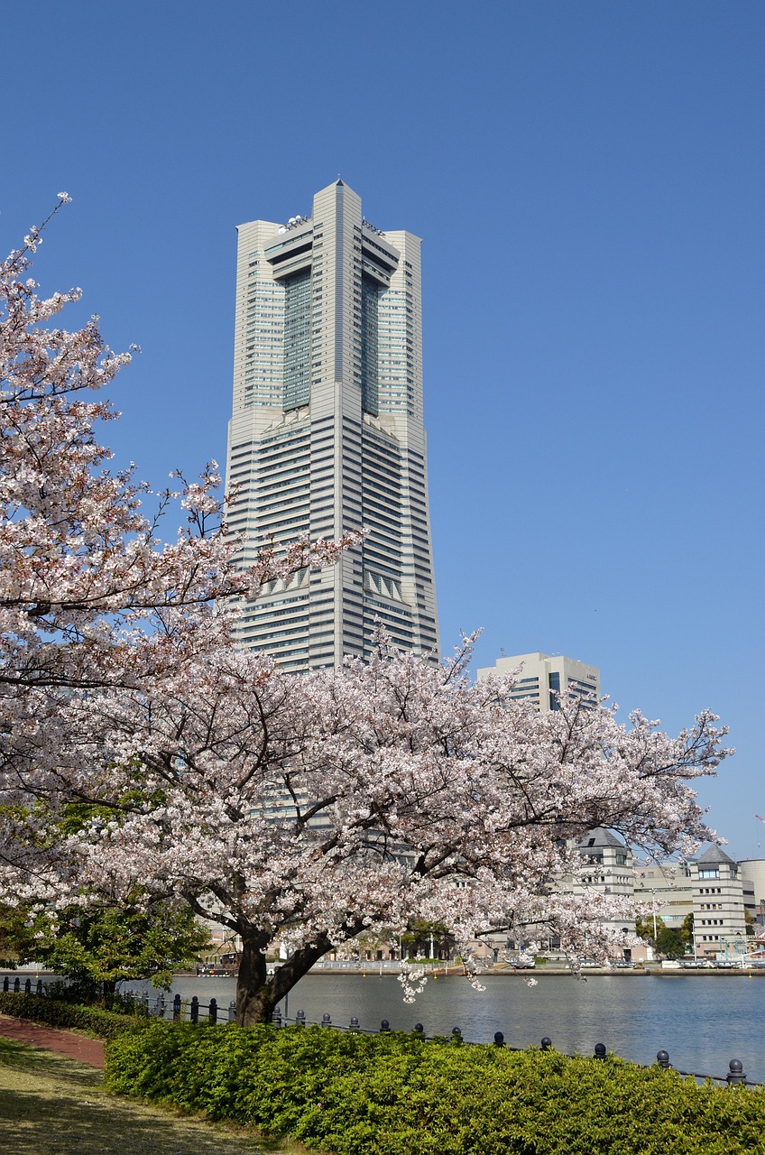 Gedung Bertingkat Bunga Sakura - Foto gratis di Pixabay - Pixabay
