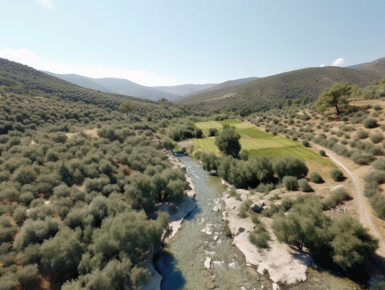 Mountain Valley Olive Tree - Free image on Pixabay