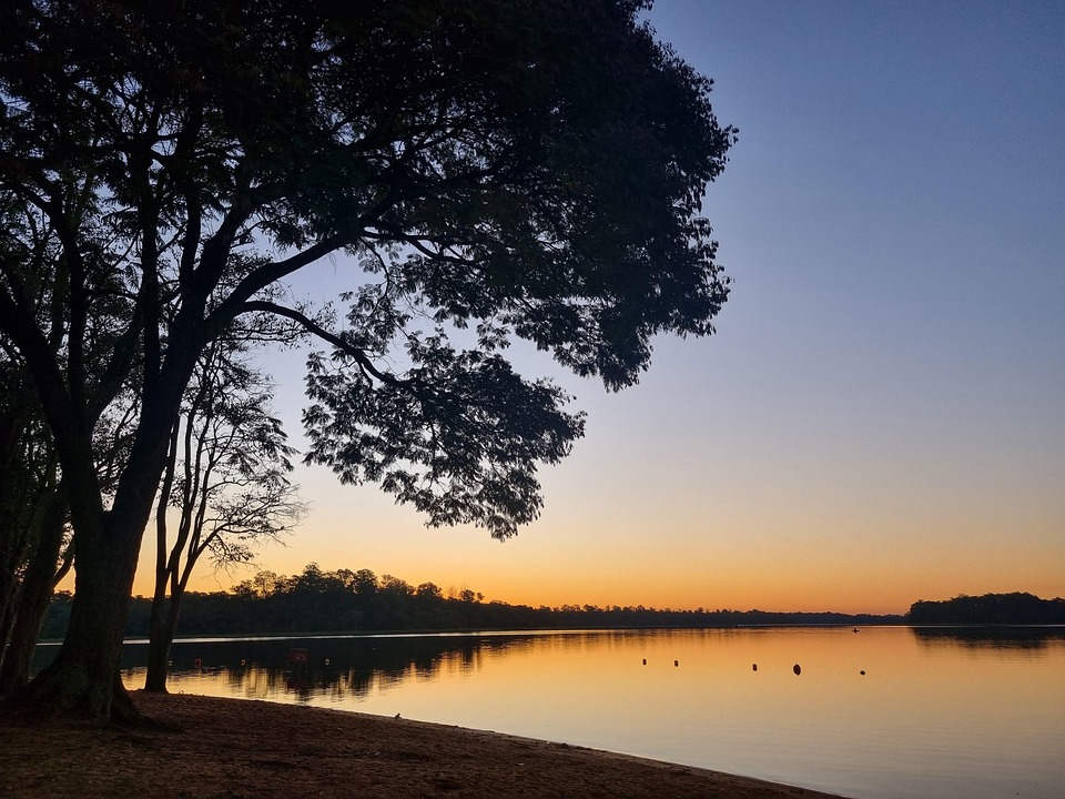 Fleuve Des Arbres Rive Le Coucher - Photo gratuite sur Pixabay - Pixabay