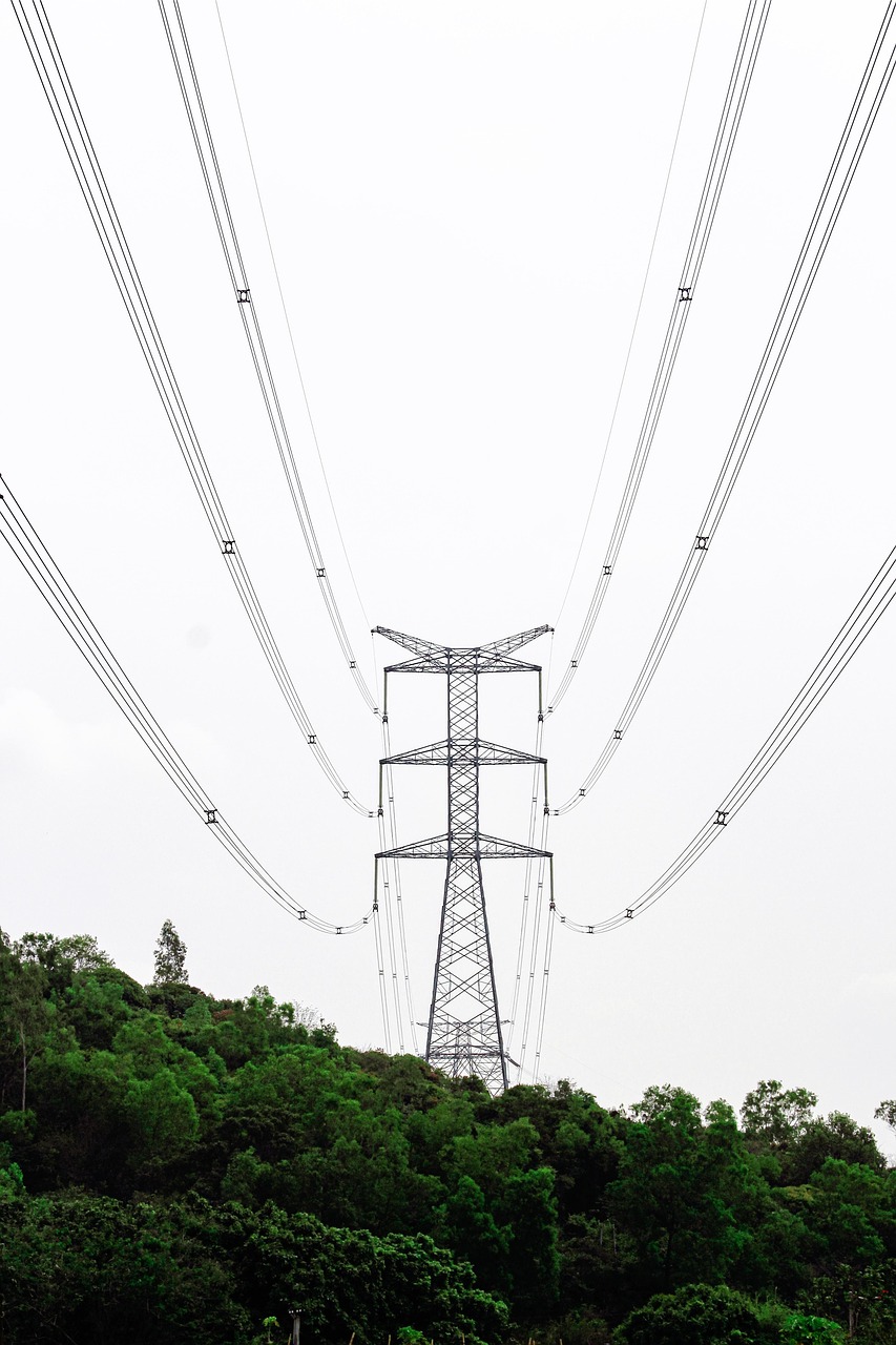 Electric Wire Grid Forest Free Photo On Pixabay Pixabay