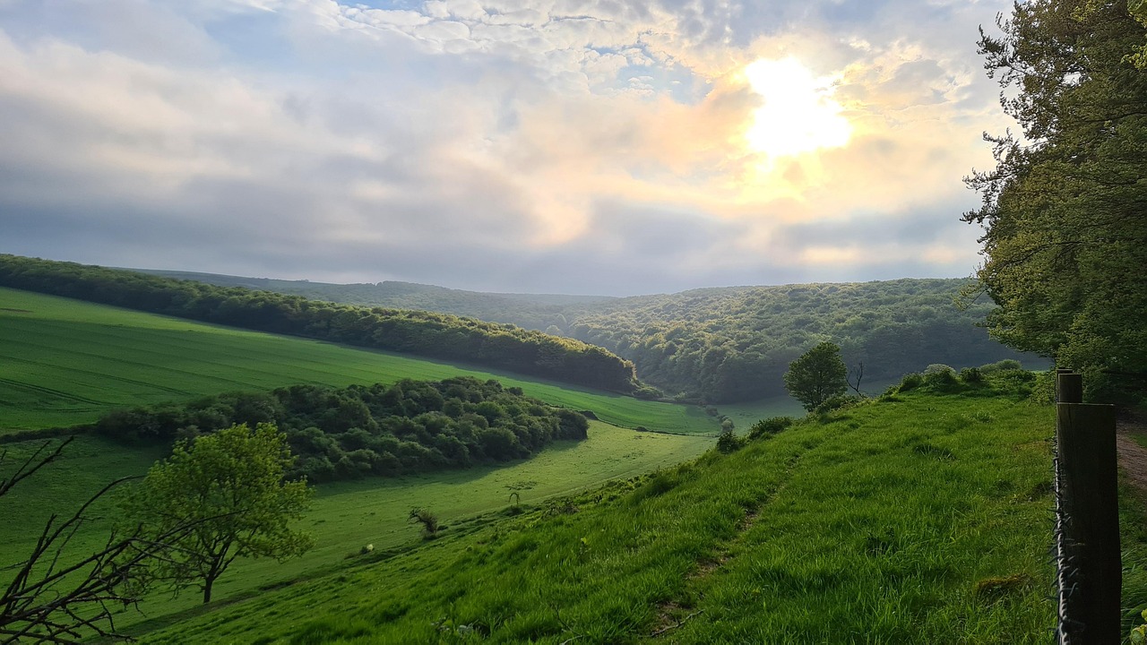 Heavenly Morning Sun - Free photo on Pixabay - Pixabay
