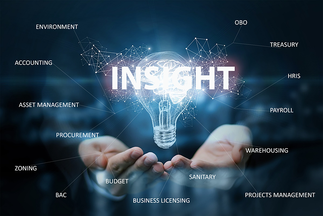 Download Lgu Insight, Government Process, Government Integration ...