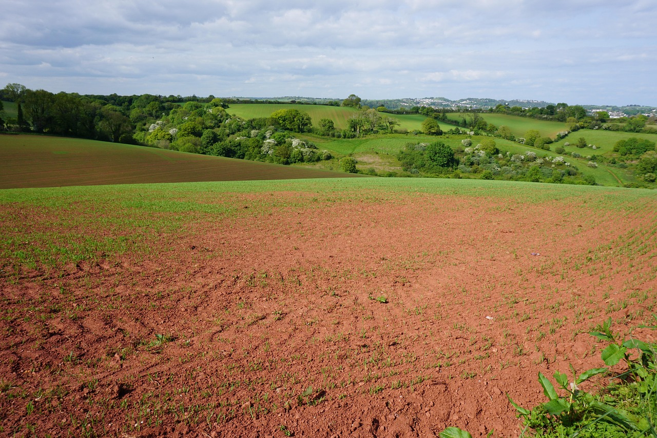 Paysage Ciel Les Terres Agricoles - Photo gratuite sur Pixabay - Pixabay