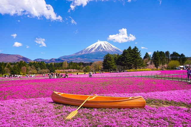Japan Mount Fuji Nature - Free photo on Pixabay - Pixabay