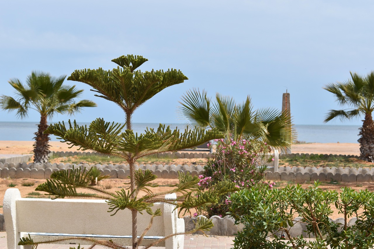 Tunisia Desert Skyline - Free photo on Pixabay - Pixabay