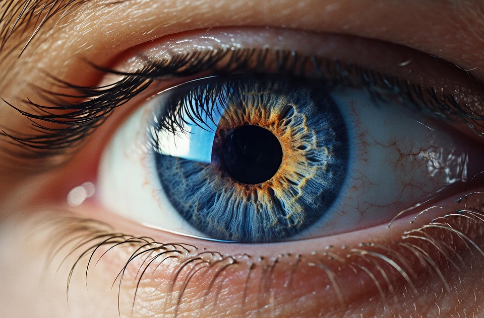 Download Ai Generated Eye Blue Eye Royalty Free Stock Illustration Image Pixabay