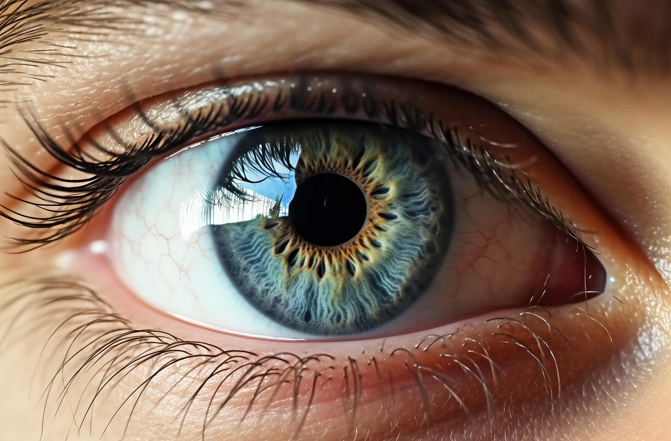 Download Ai Generated, Eye, Blue Eye. Royalty-Free Stock Illustration ...