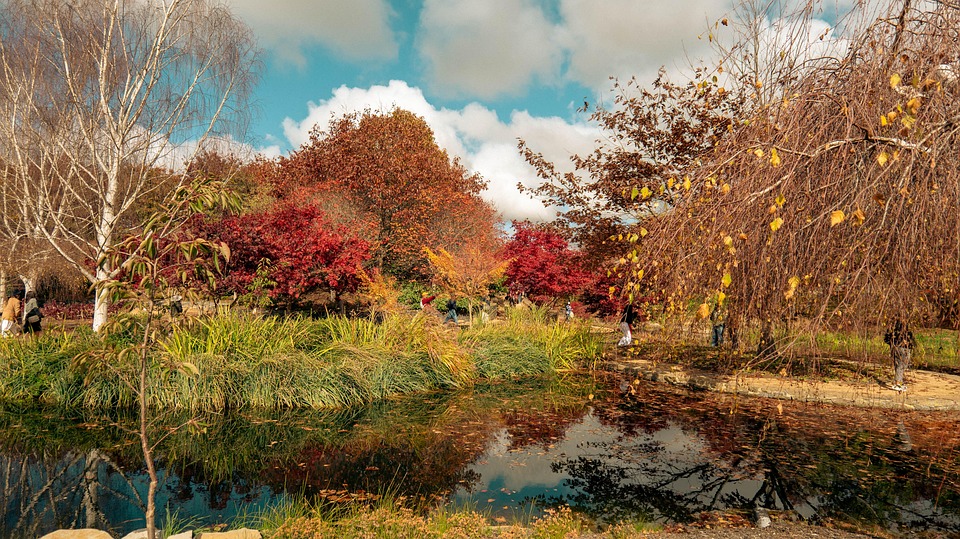 Mayfield Gardens Nsw Oberon - Ingyenes fotó a Pixabay-en - Pixabay