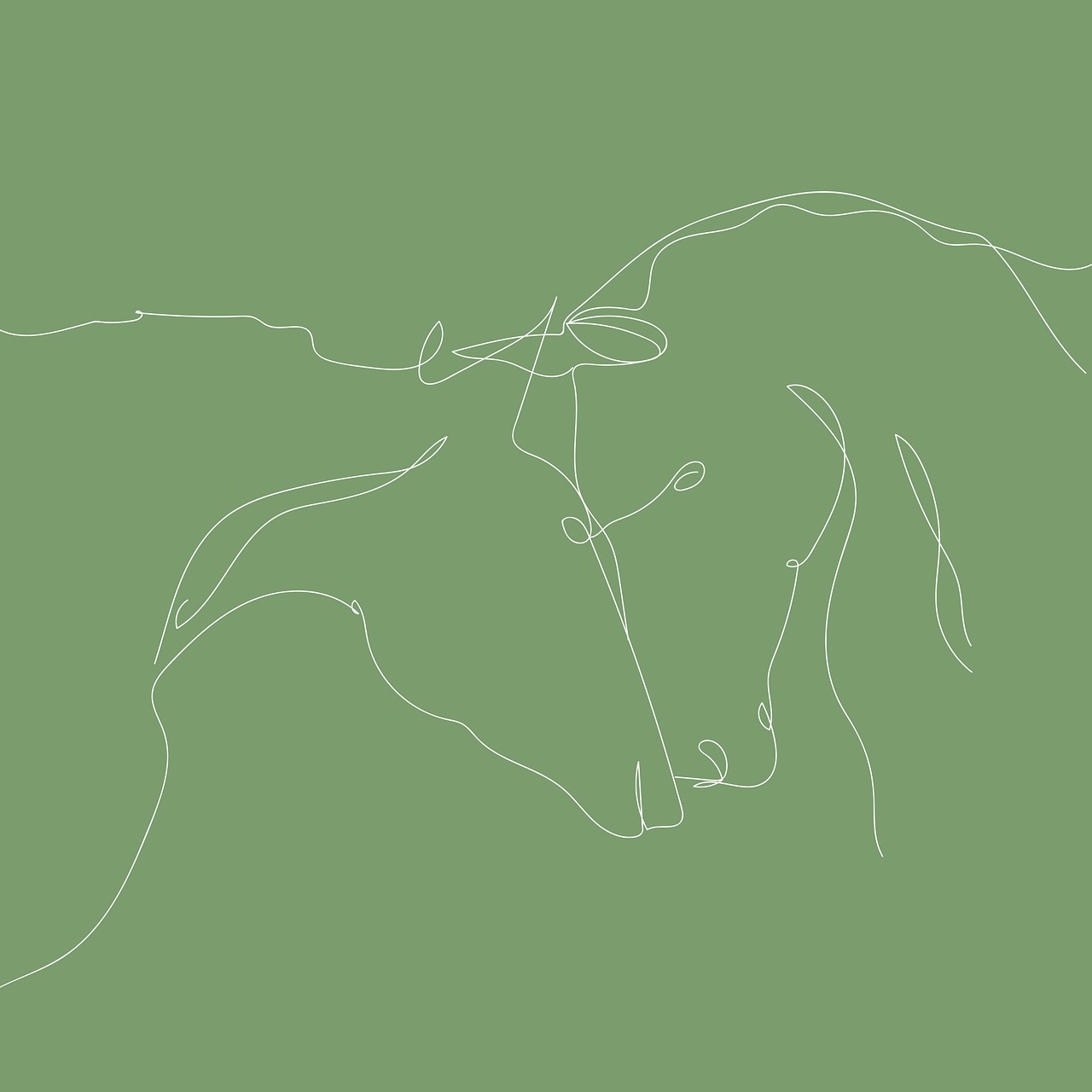Caballos Cabezas Línea Arte - Imagen gratis en Pixabay - Pixabay