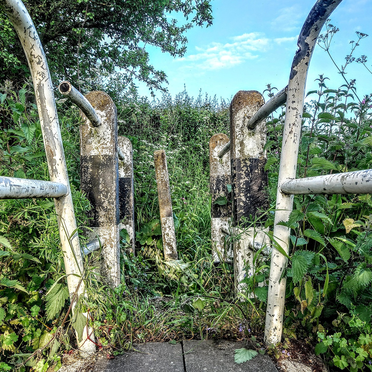 Bridge Pathway Walk - Free photo on Pixabay - Pixabay