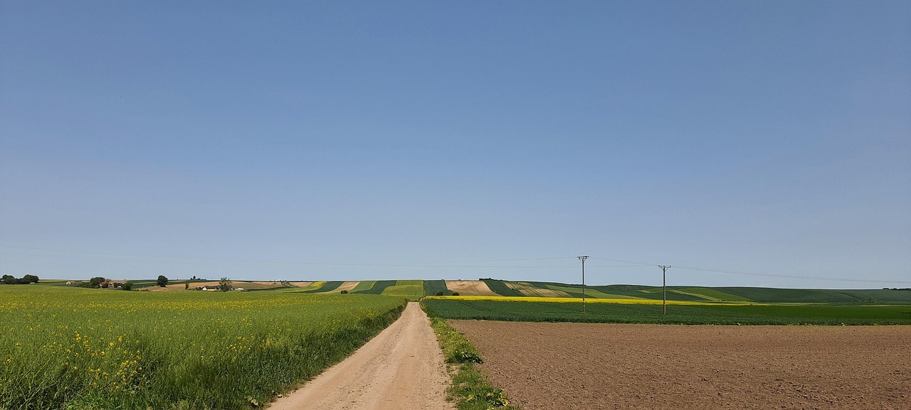 Picnic Fields Landscape Free Photo On Pixabay Pixabay