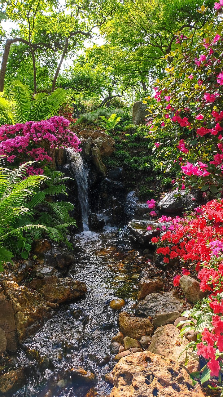 Stream Botanical Garden River - Free photo on Pixabay