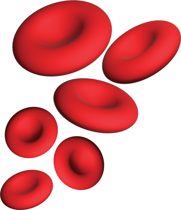 Download Reb Blood Cells, Medical Education, Disc. Royalty-Free Stock ...