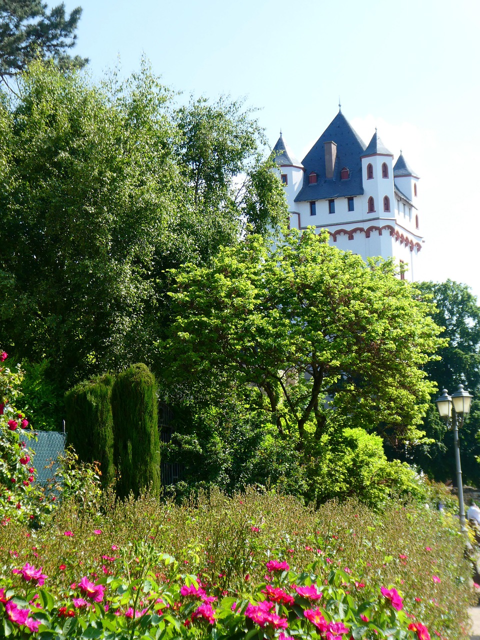 Eltville Rheingau Mittelalterlich - Kostenloses Foto auf Pixabay - Pixabay
