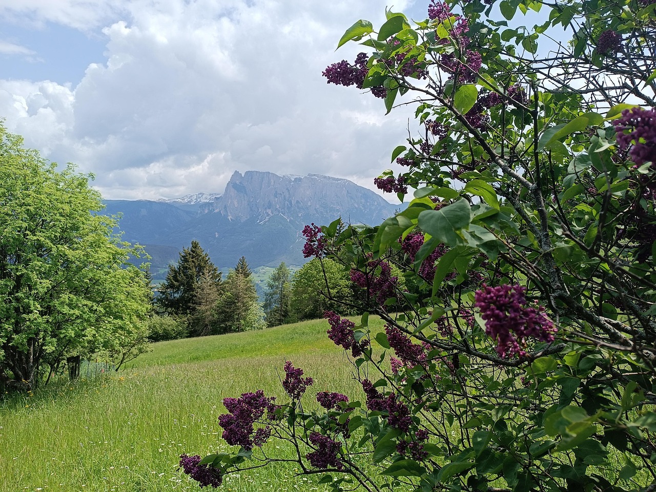 Ritten Renon Tyrol Du Sud Maria - Photo gratuite sur Pixabay - Pixabay