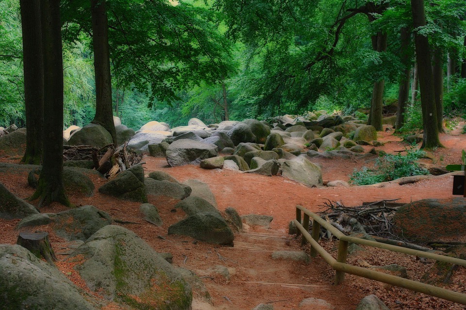 La Nature Roche Forêt En Plein - Photo gratuite sur Pixabay - Pixabay