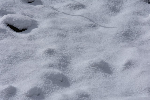 Snow Stones Nature - Free photo on Pixabay - Pixabay