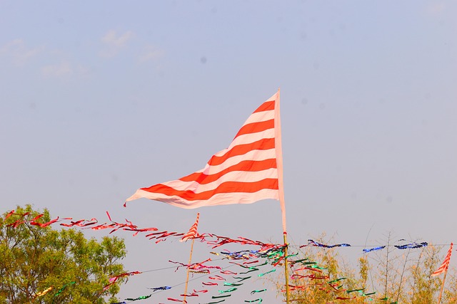 Sarna Flag Adiwasi Ai - Free photo on Pixabay