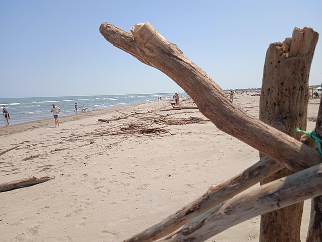 Mer Marram Plage - Photo gratuite sur Pixabay