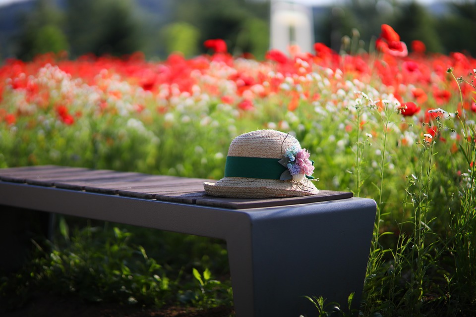 Flower Garden - Free photo on Pixabay - Pixabay