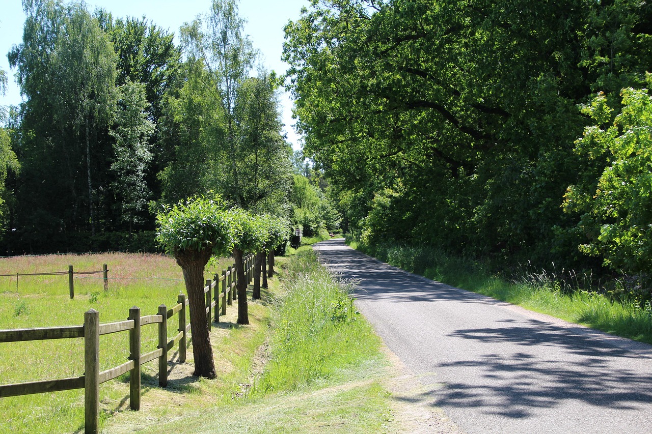 Money Country Road - Free photo on Pixabay - Pixabay