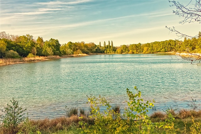 Lac Étang L'Eau - Photo gratuite sur Pixabay - Pixabay