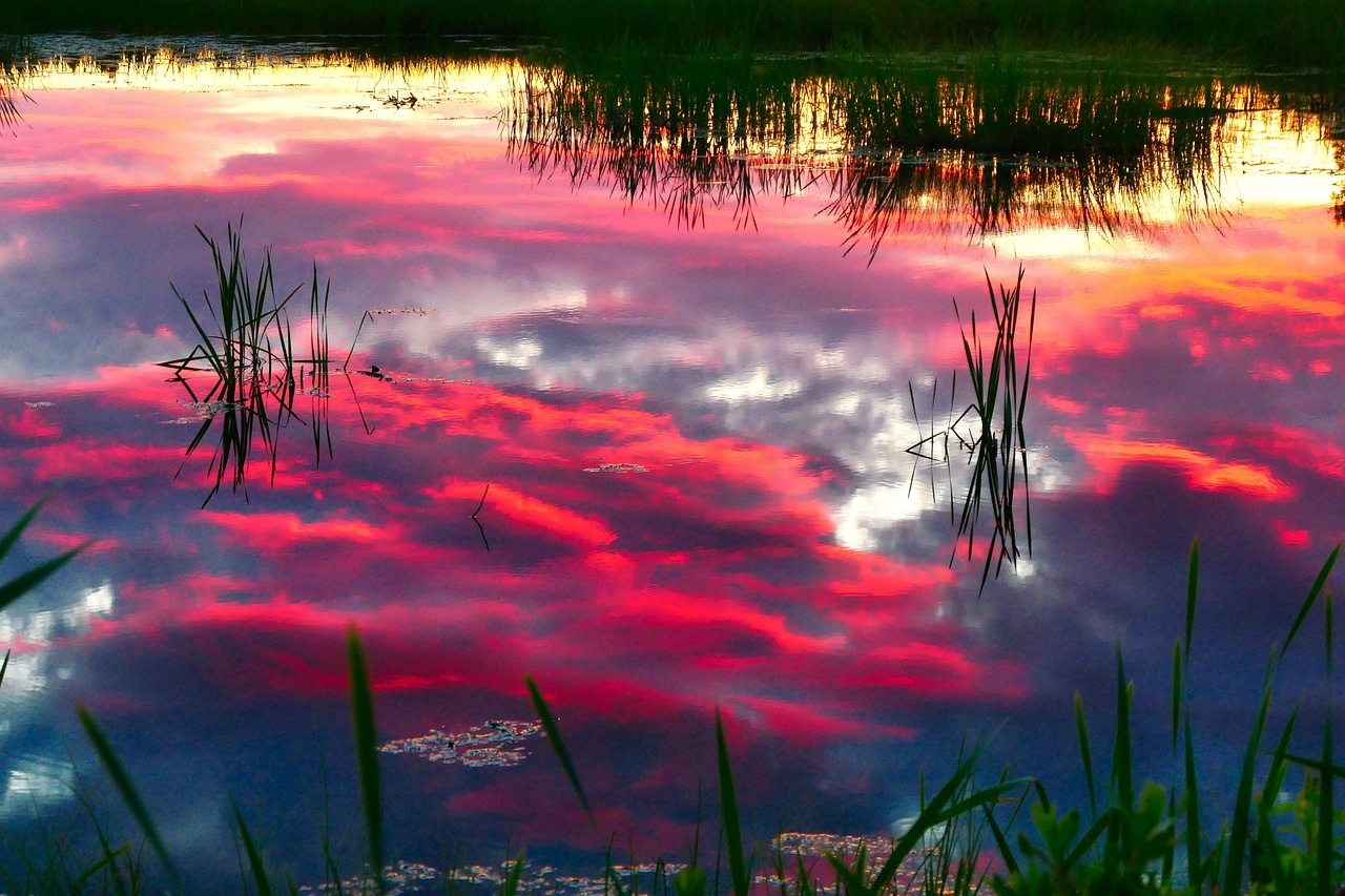 Nature The Water Reflections - Free photo on Pixabay - Pixabay
