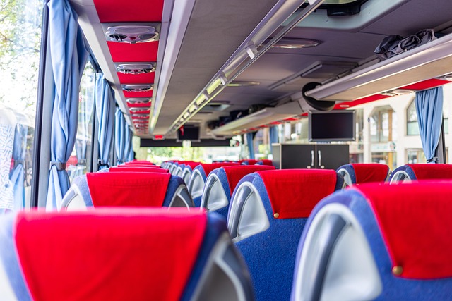 Autobus Veicolo Viaggio - Foto gratis su Pixabay