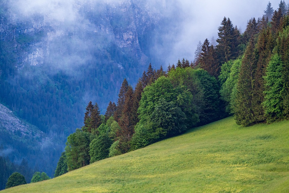 La France Flanc De Coteau Prairie - Photo gratuite sur Pixabay - Pixabay